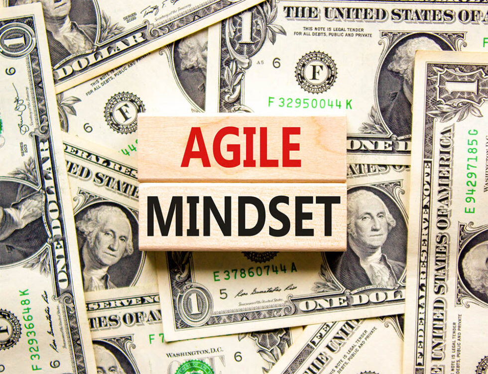 Marketing Agility in MNC Subsidiaries | timo-mandler.com